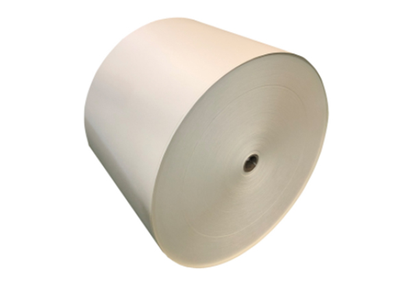 PE/PLA Coated Paper roll material - RUIDA machinery